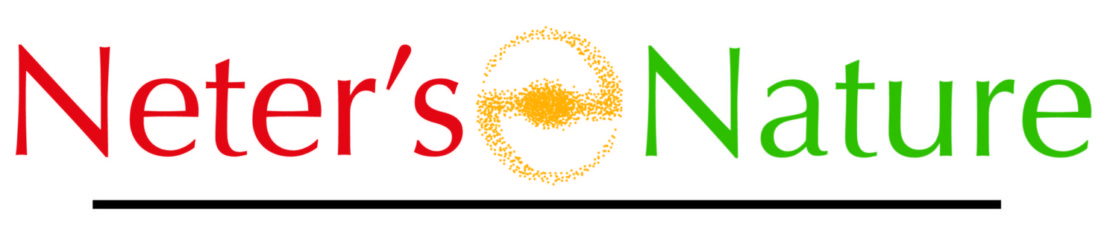 Sassysauce | Netersnature.com